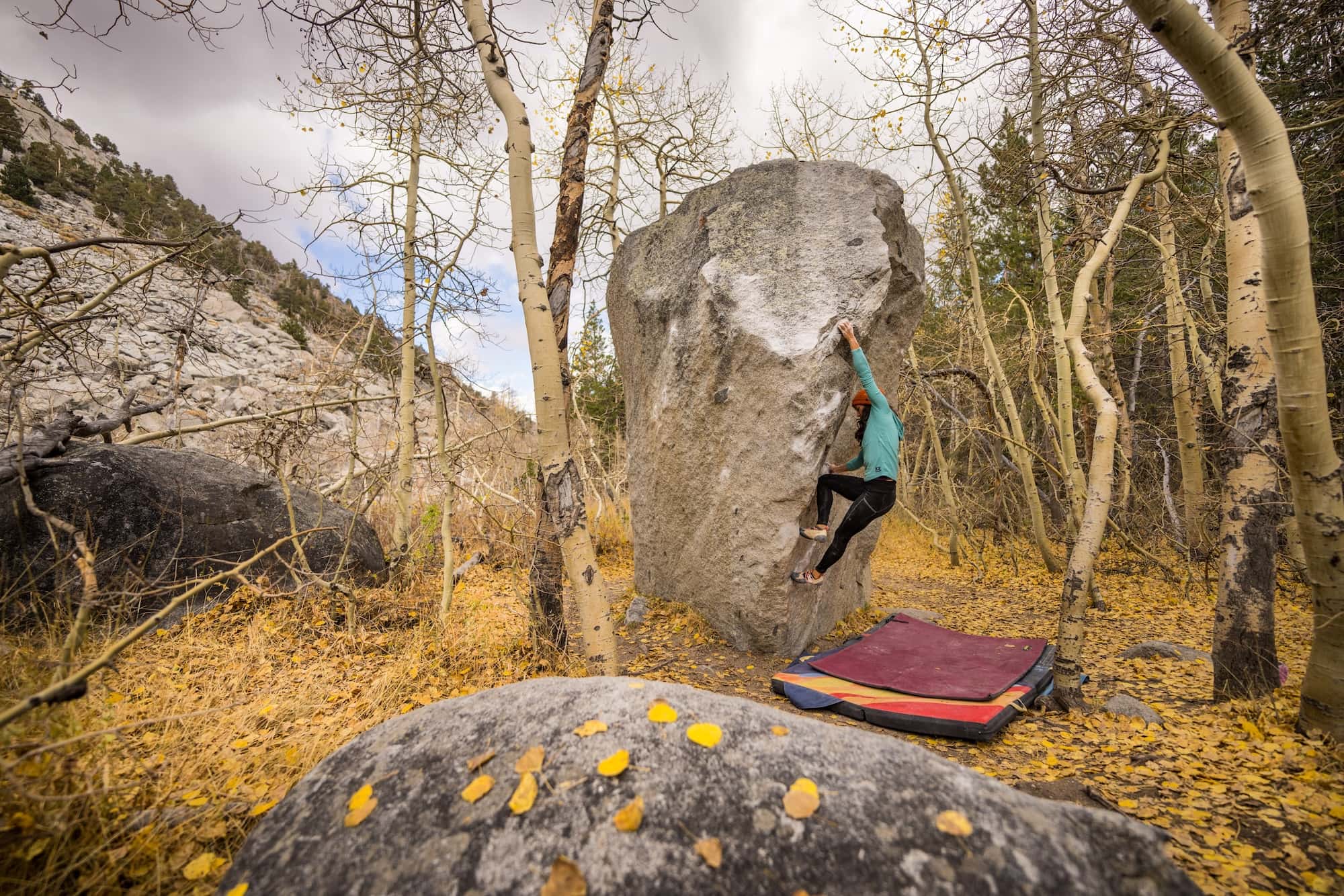 Women's Merino Wool Pants and Bottoms | Ridge Merino