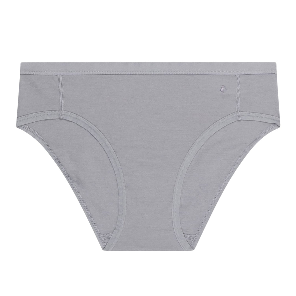 Women's Ridge Hipster Brief Merino Wool Underwear | Ridge Merino